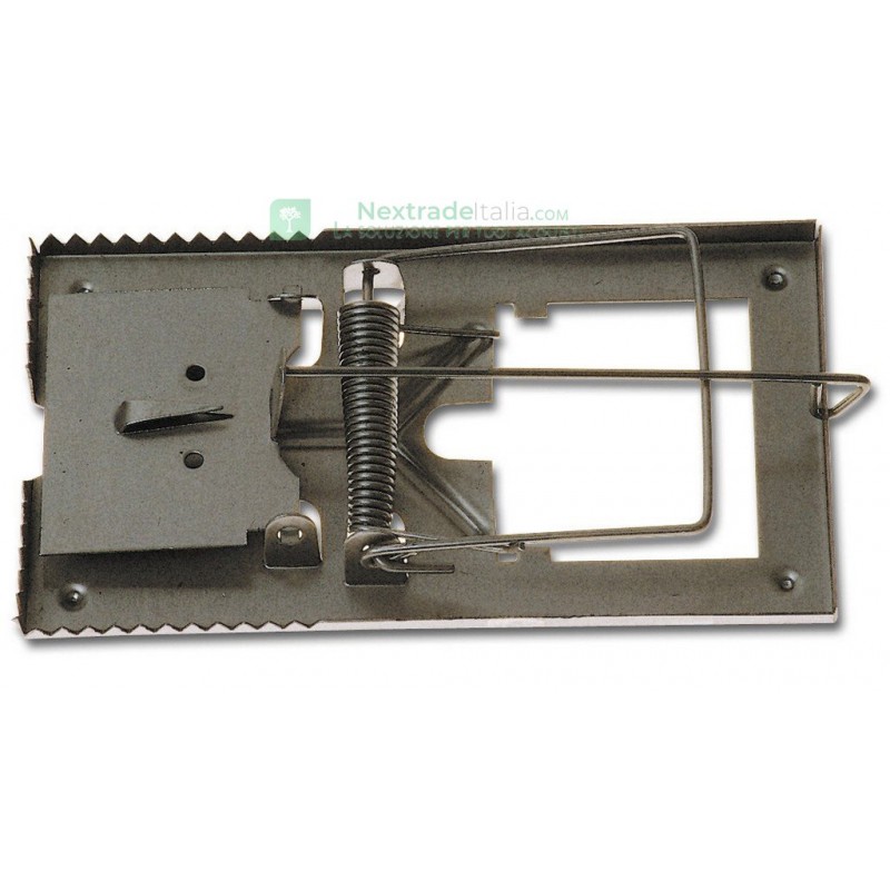 10PZ TRAPPOLA PER TOPI TIPO GRANDE